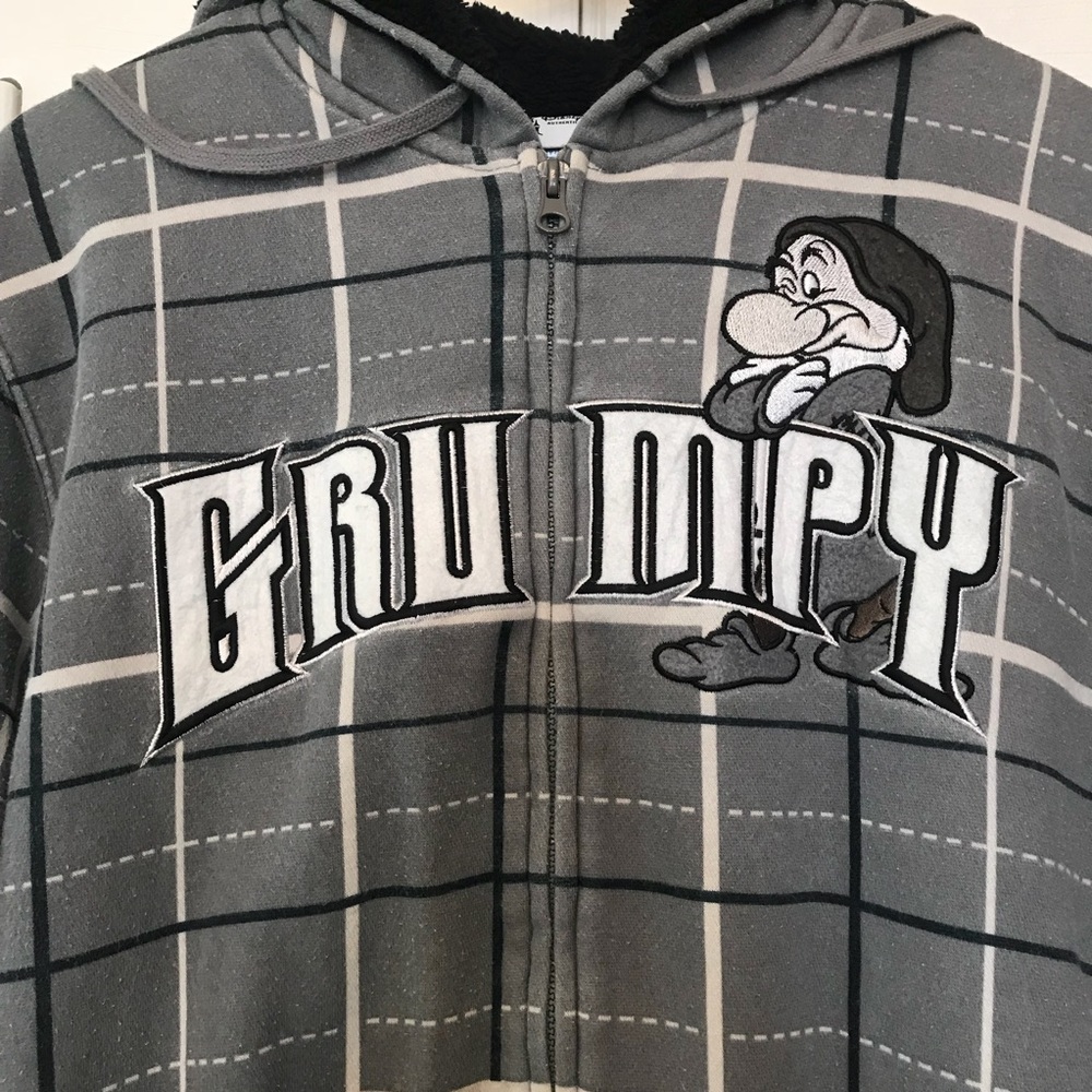 Disneyland Park Disney Grumpy Hoodie Small - Gem